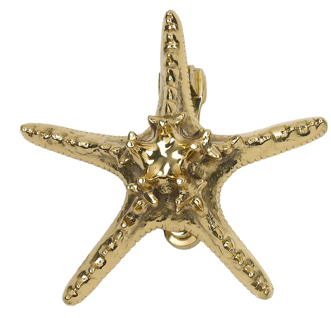 Starfish PNG, Starfish Transparent Background - FreeIconsPNG