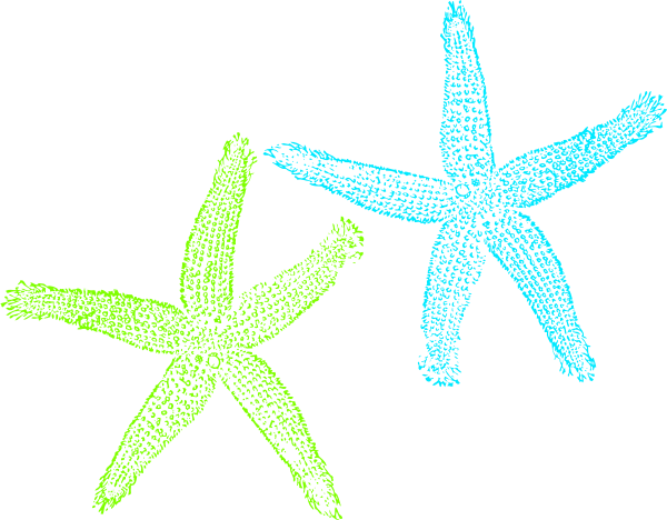 Download For Free Starfish In High Resolution PNG Transparent ...