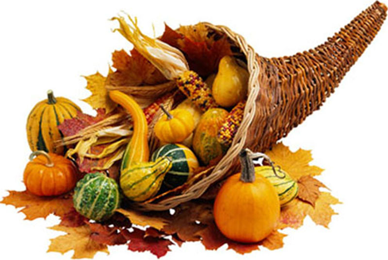 Thanksgiving File PNG Transparent Background, Free Download #33426 ...