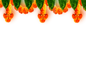 Thoranam Festival Photo 16 PNG Transparent Background, Free Download ...