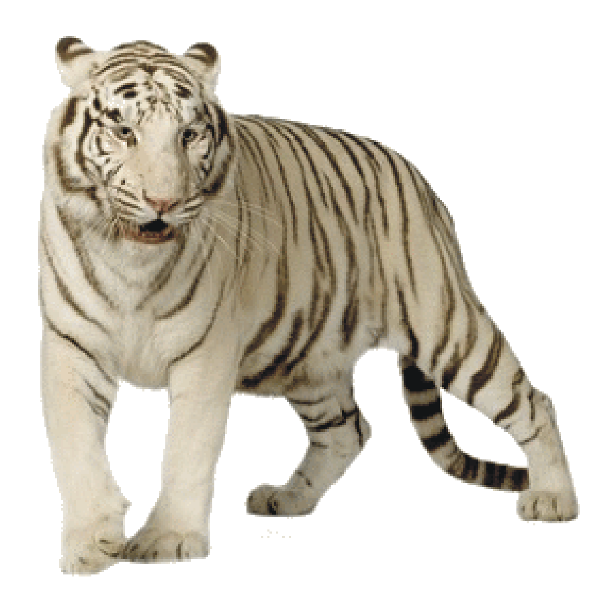 Tiger PNG, Tiger Transparent Background - FreeIconsPNG