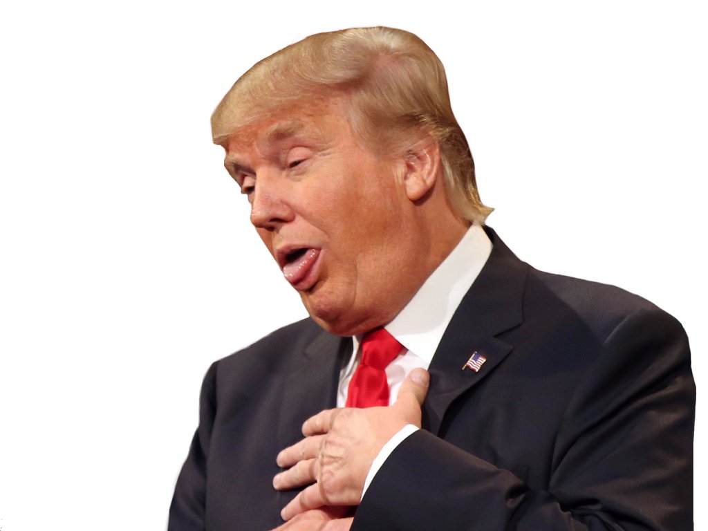 Donald Trump PNG, Donald Trump Transparent Background - FreeIconsPNG