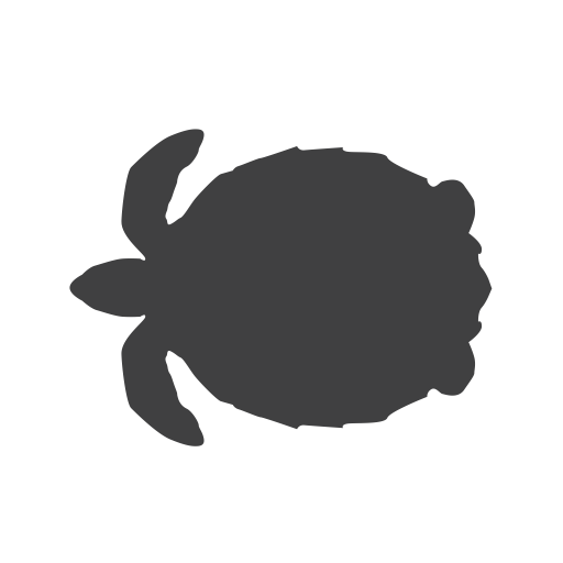 Turtle Icon, Transparent Turtle.PNG Images & Vector - FreeIconsPNG