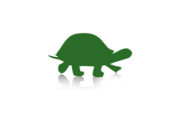 For Windows Icons Turtle PNG Transparent Background, Free Download ...