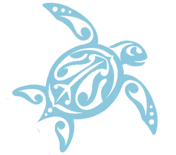 Turtle Symbols PNG Transparent Background, Free Download #10999 ...