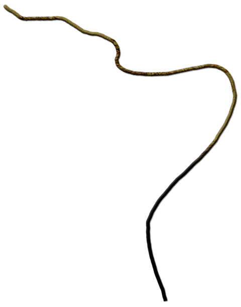 Download Free Twine PNG Transparent Background, Free Download #36924 ...