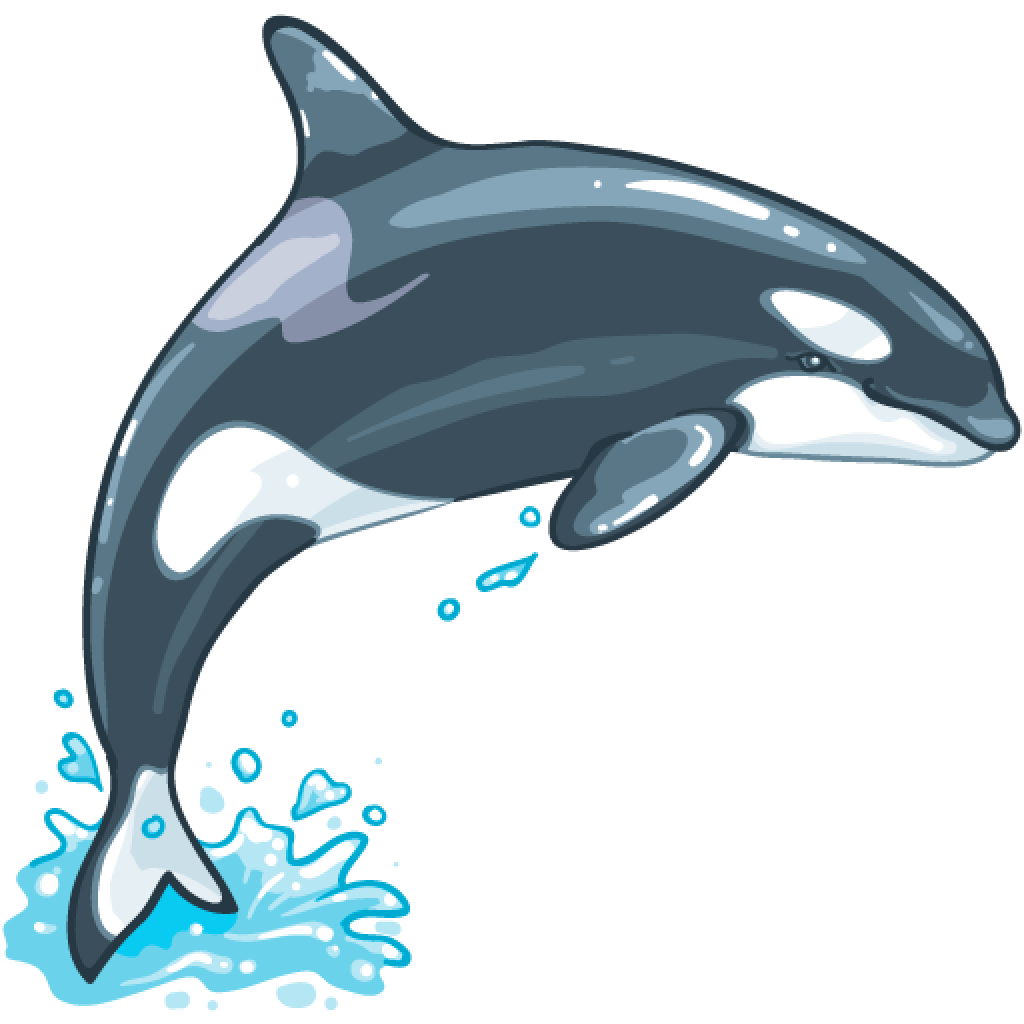 Whale PNG, Whale Transparent Background - FreeIconsPNG