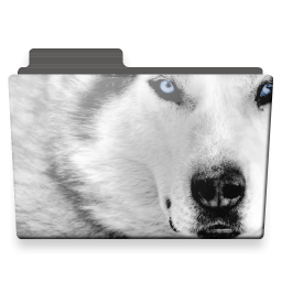 Wolf Folder Icon PNG Transparent Background, Free Download #2871 ...